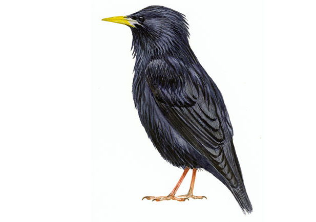 Fábulas inventadas ¡Para leer ahora! 【NUEVO】